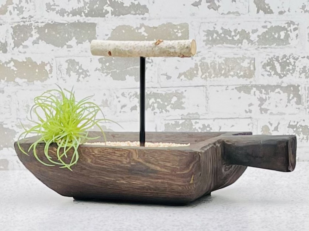 Modern Dark Brown Wooden Parrot Stand With Birch Branch - Etsy