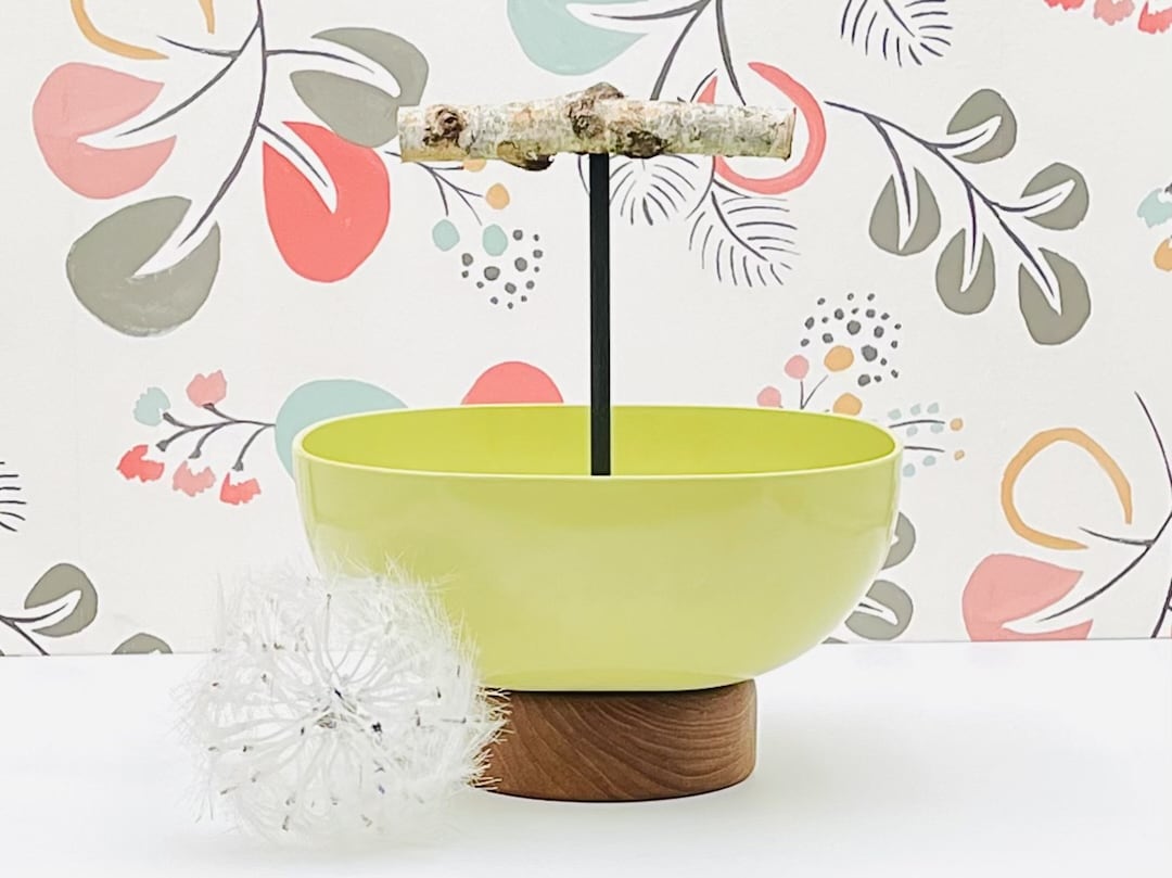 Retro Parrot Stand • Portable Parrot Stand • Modern Parrot Stand ...