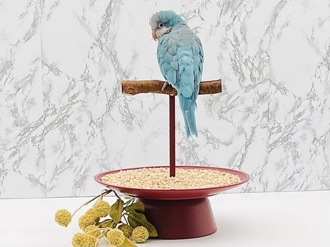 Salsa Red Parrot Stand Portable Bird Stand Tabletop Parrot Perch Sturdy ...