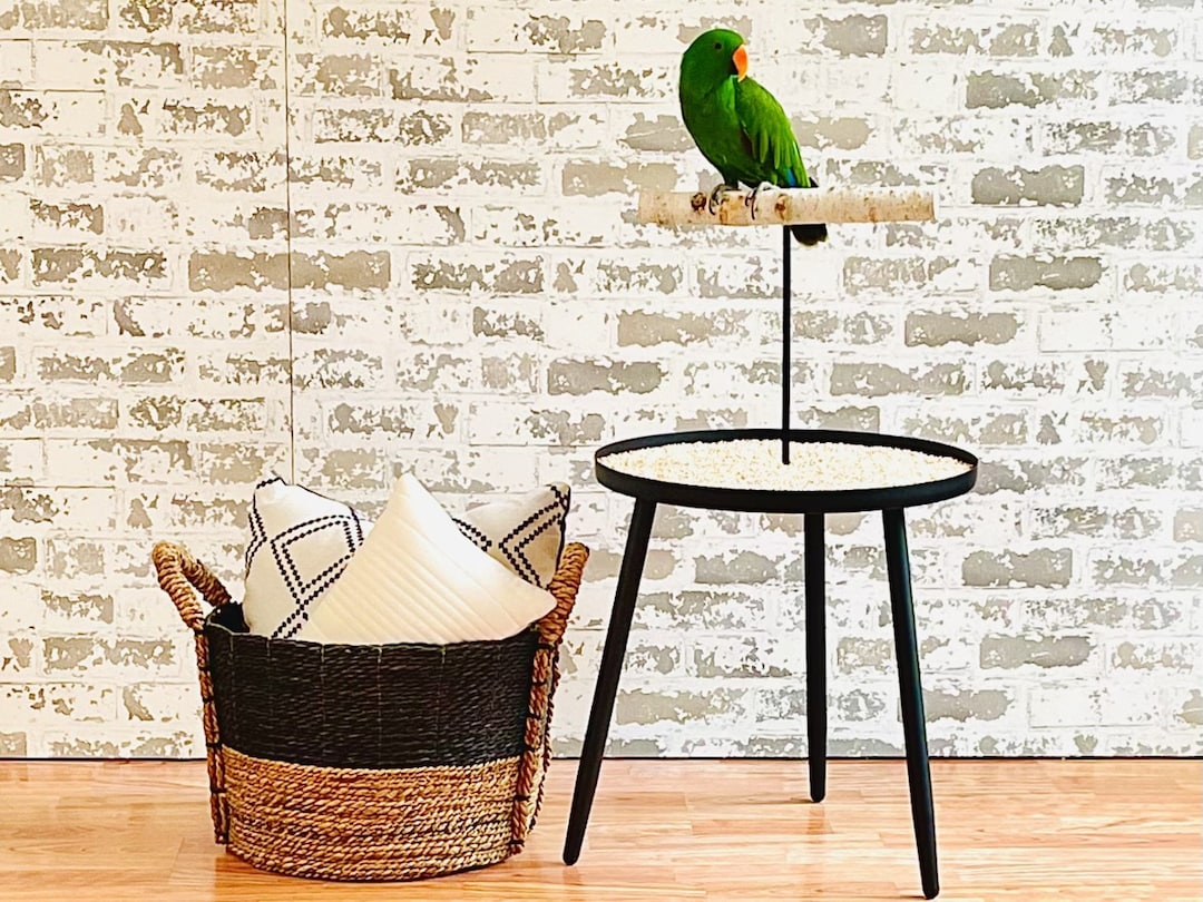 Black Floor Parrot Stand • Modern Parrot Stand • Portable Parrot Stand ...