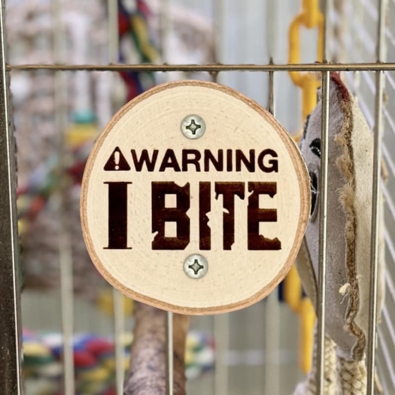 Bird Cage Decor - Etsy