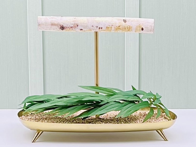 Gold Footed Parrot Stand Modern Parrot Stand Portable Parrot Stand ...