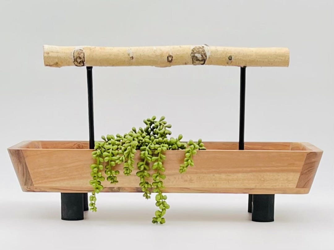 Large Acacia Wood Parrot Stand • Portable Parrot Stand • Modern Parrot ...