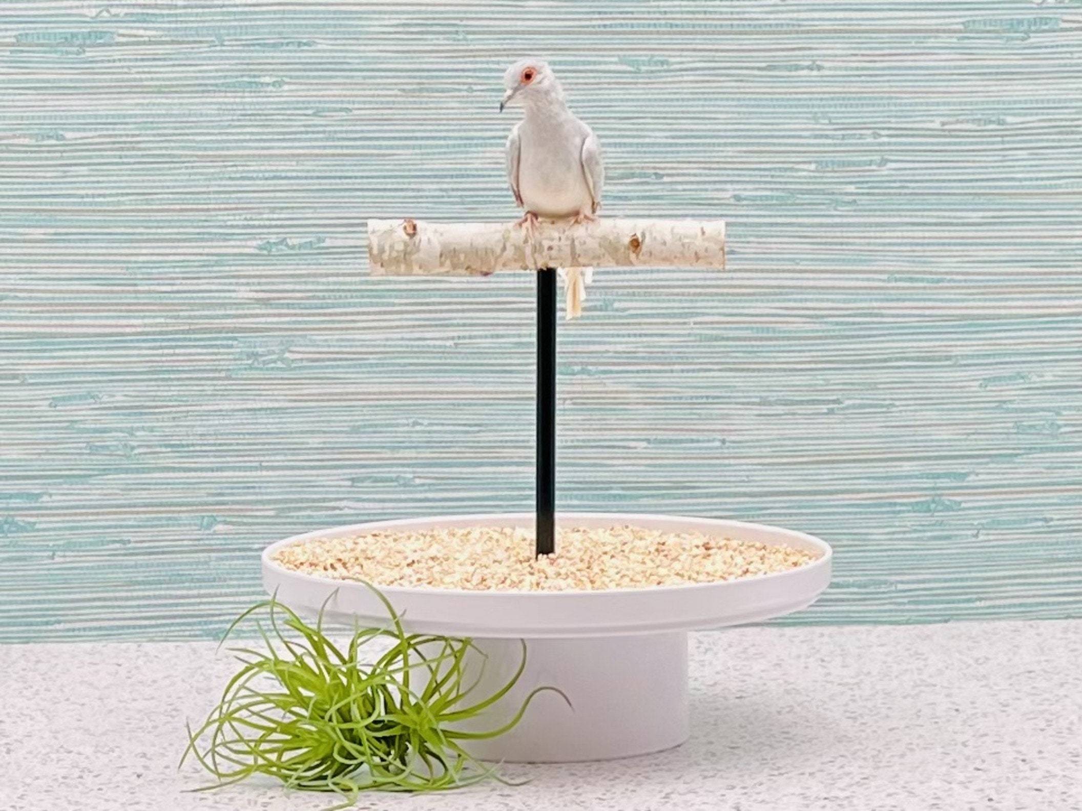 Small White Parrot Stand Portable Bird Perch Tabletop Parrot Stand Mess ...