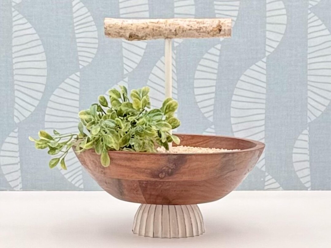 Modern Wooden Parrot Stand With White Glazed Base - Etsy