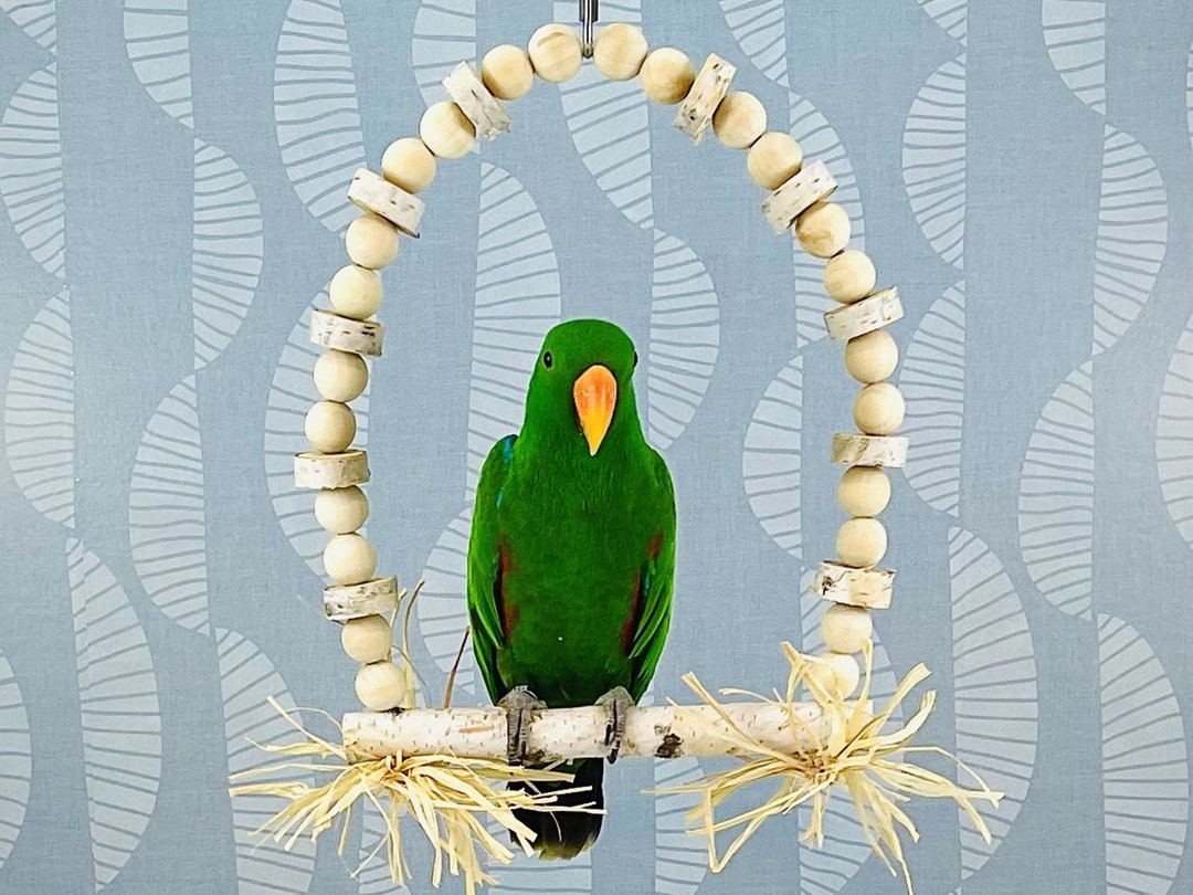 Large Natural Birch Wood Swing • Parrot Swing • Bird Swing • Wooden ...