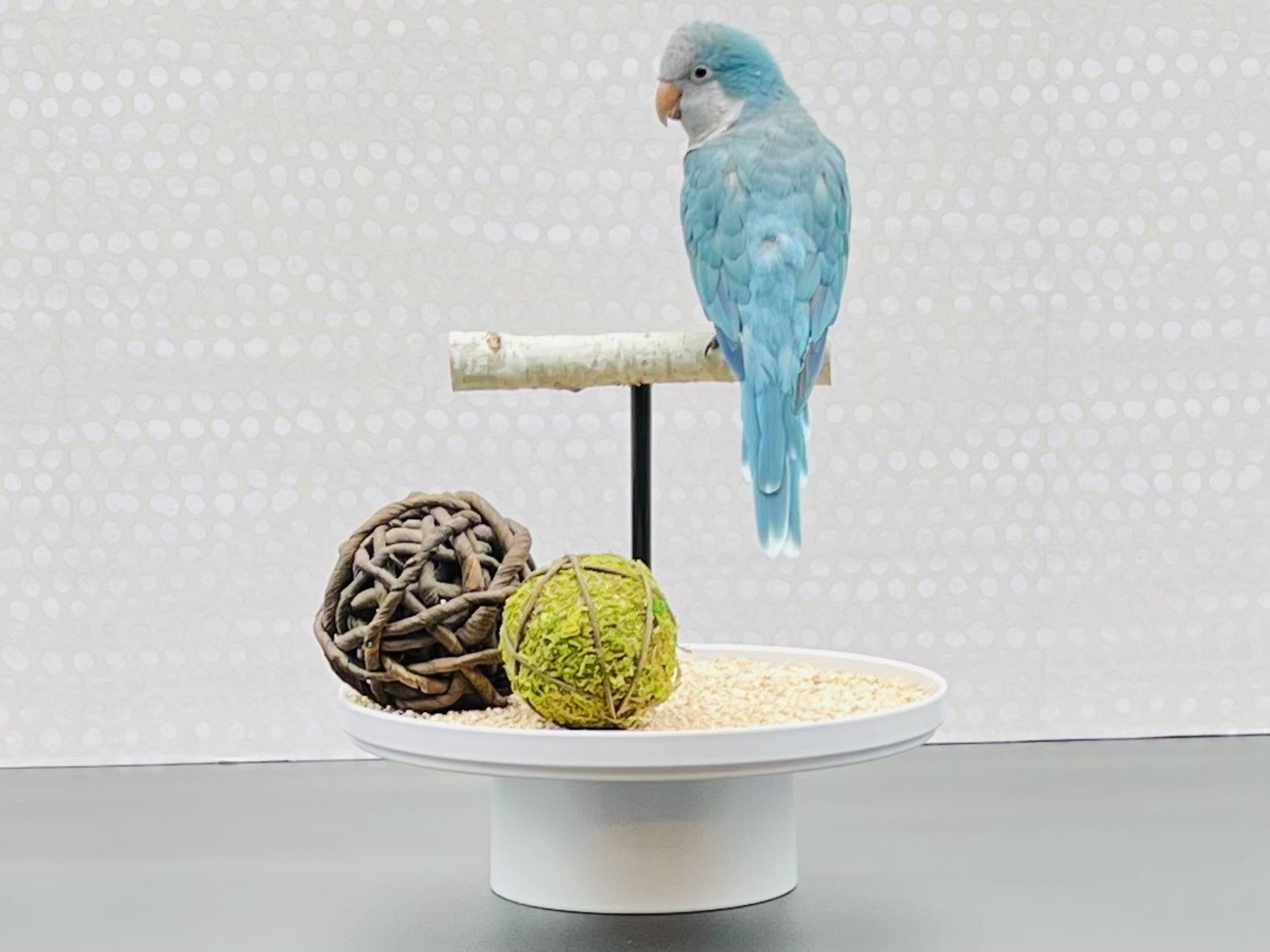 Small White Parrot Stand Portable Bird Perch Tabletop Parrot Stand Mess ...