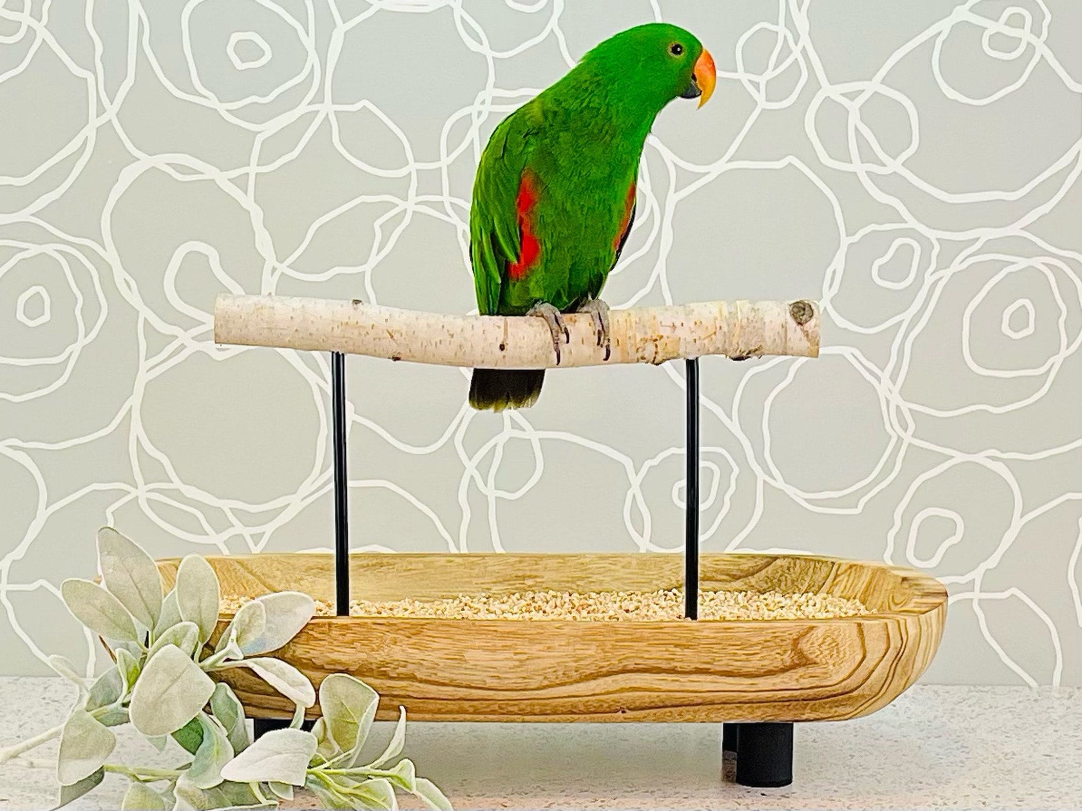 Large Footed Parrot Stand Portable Parrot Stand Self-contained Parrot ...