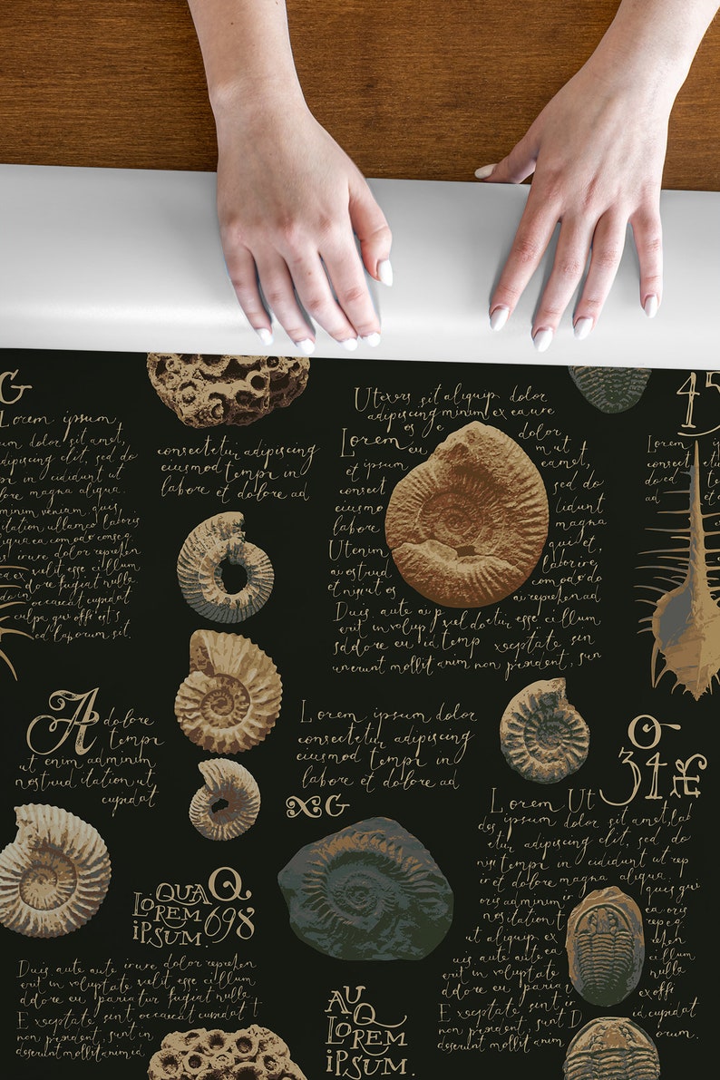 Abstract Fossils Wallpaper | Wall Decor | Home Renovation | Wall Art ...