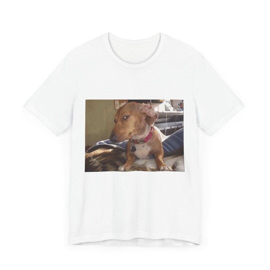Side Eye Dog T-shirt, Meme T-shirt, Funny T-shirt, Side Eye Meme, Side ...