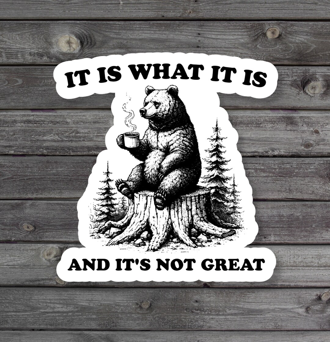 It is What It is Sticker, Funny Bear Meme Sticker, Vintage Bear, Gen Z ...