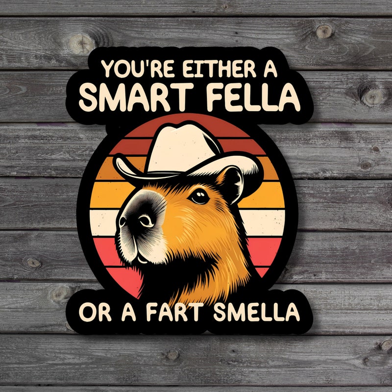 Funny Fart Stickers - Etsy