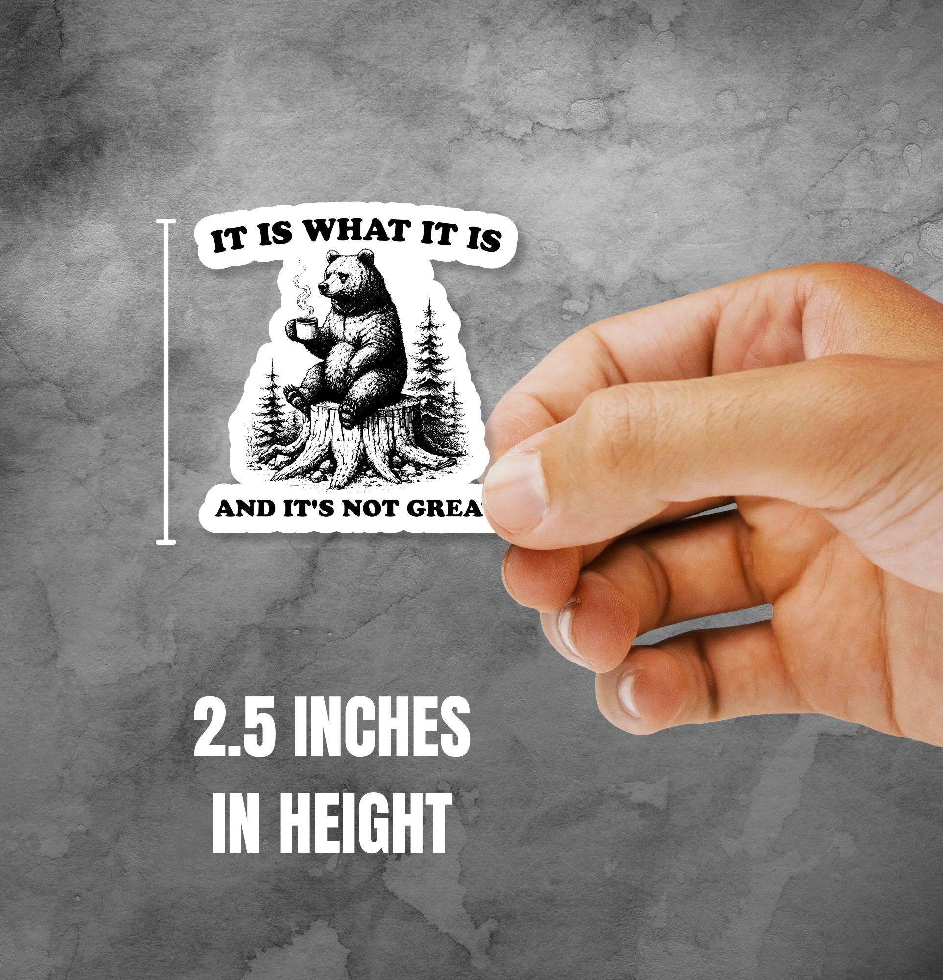 It is What It is Sticker, Funny Bear Meme Sticker, Vintage Bear, Gen Z ...