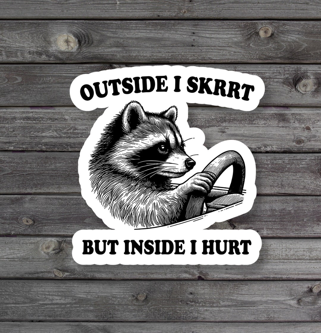 Outside I Skrrt but Inside I Hurt Raccoon Driving Sticker, Funny ...