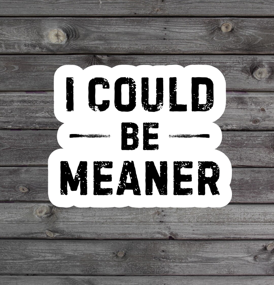 I Could Be Meaner Sticker, Sarcastic Parent Gift, Spicy Attitude Laptop ...