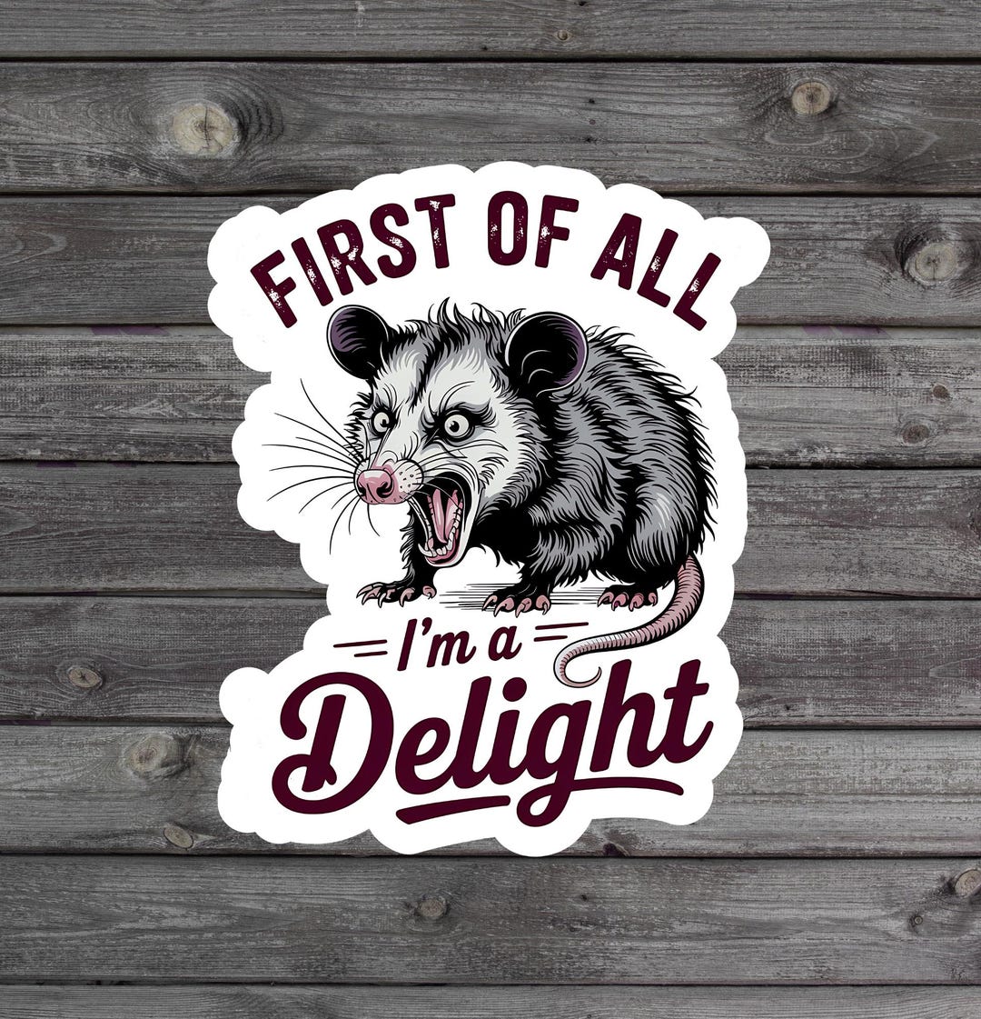 First of All I'm A Delight Sticker, Sarcastic Angry Opossum Sticker ...