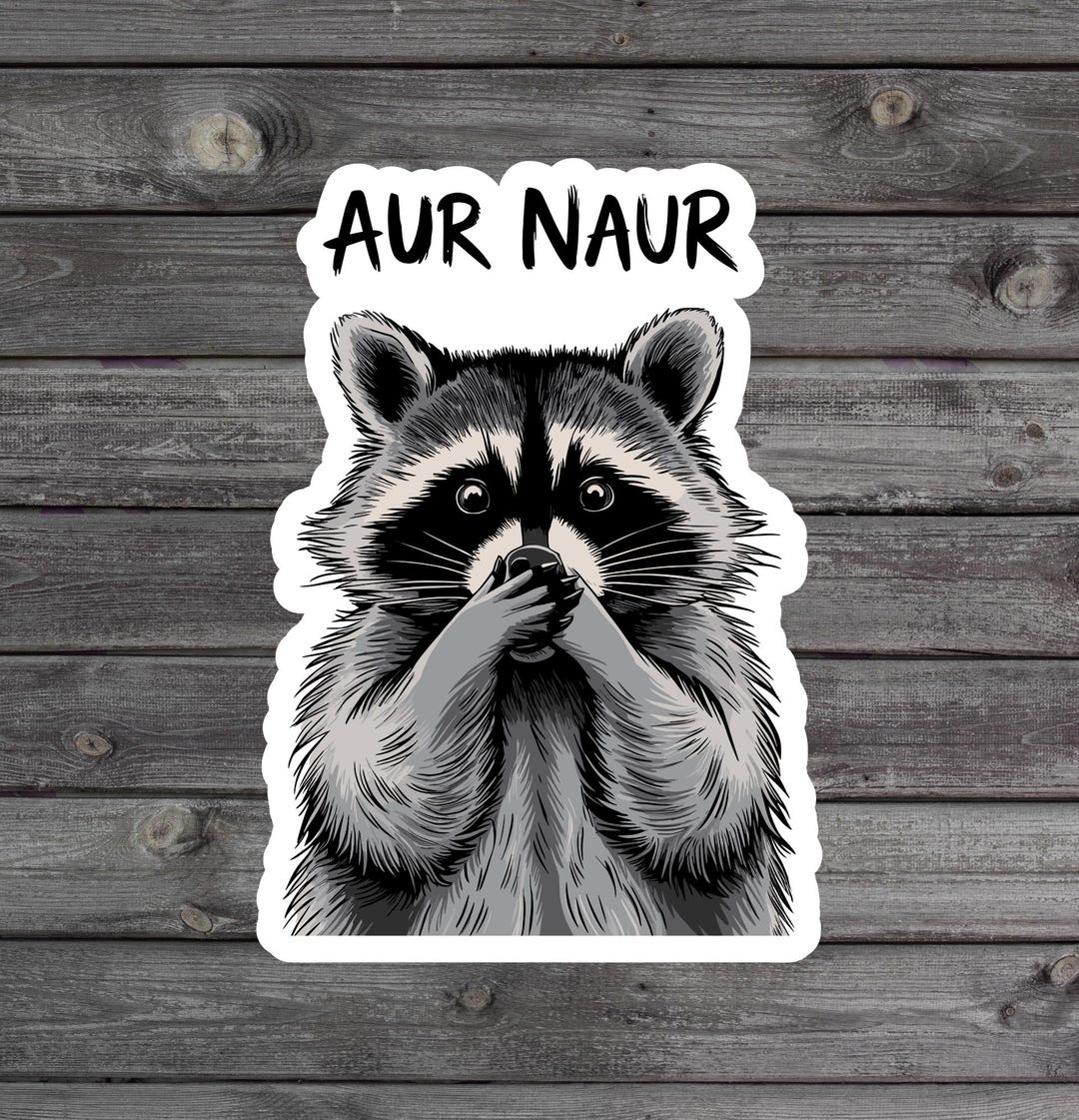 Aur Naur Sticker, Funny Raccoon Sticker, Gen Z Humor, Millennial Laptop ...