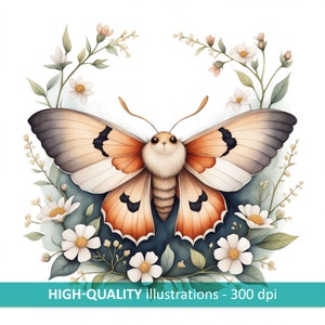 Printable Insect Flashcards for Kids | Nature & Science Learning | Set ...