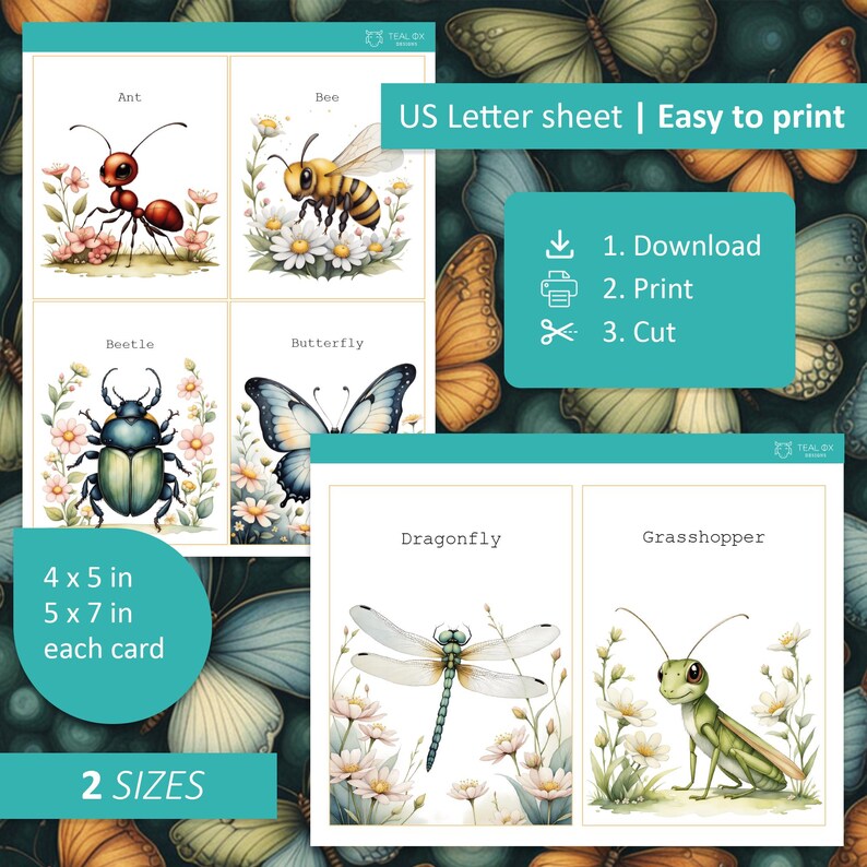 Printable Insect Flashcards for Kids – Nature Science Learning Cards ...