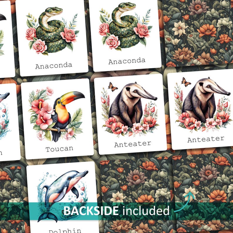 Amazon Rainforest Memory Game | Jungle Animal Matching Cards ...