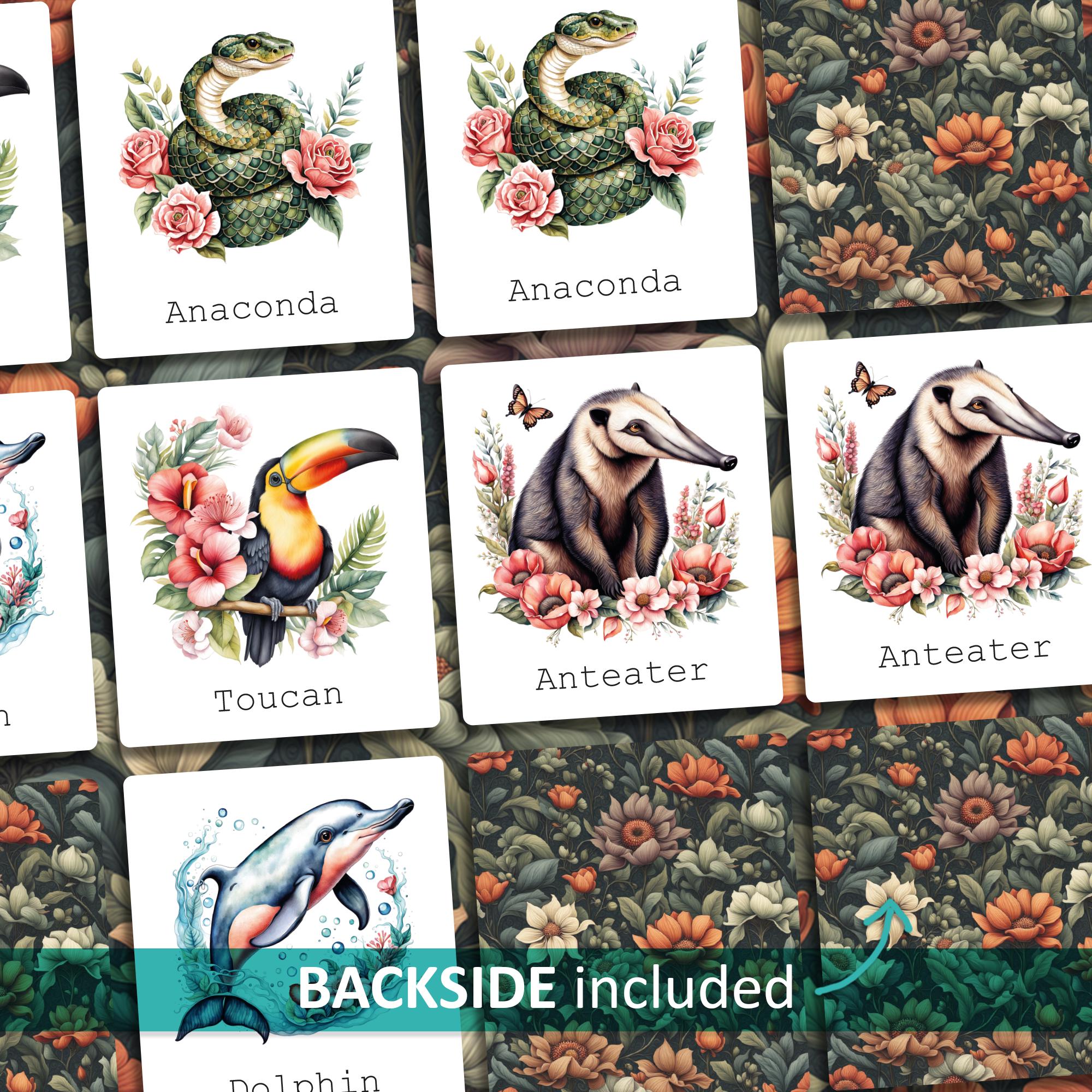 Amazon Rainforest Memory Game | Jungle Animal Matching Cards ...