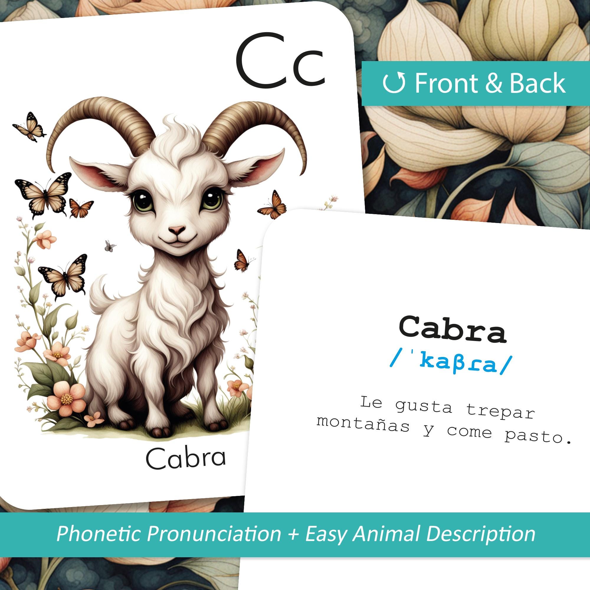 Spanish Alphabet Flashcards With Animals – Printable ABC Cards A-Z + Ñ ...