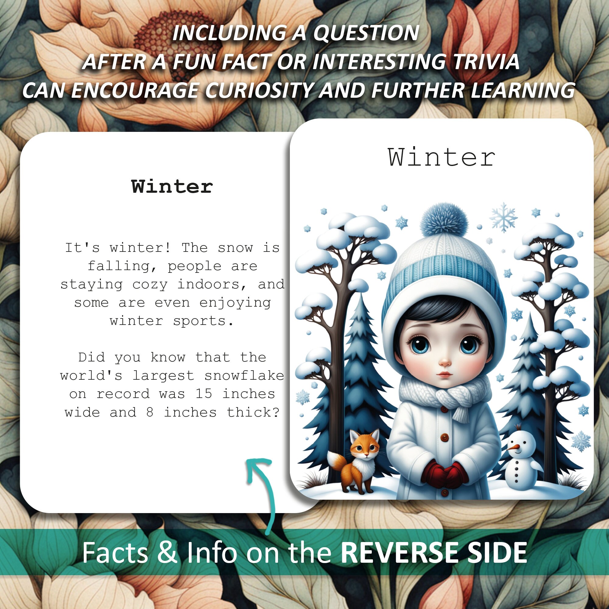 Printable Seasons Flashcards With Fun Facts | Educational Seasonal ...