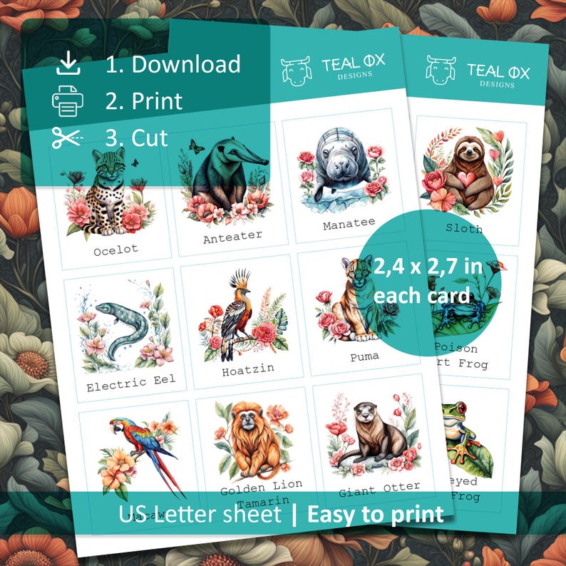 Amazon Rainforest Memory Game | Jungle Animal Matching Cards ...