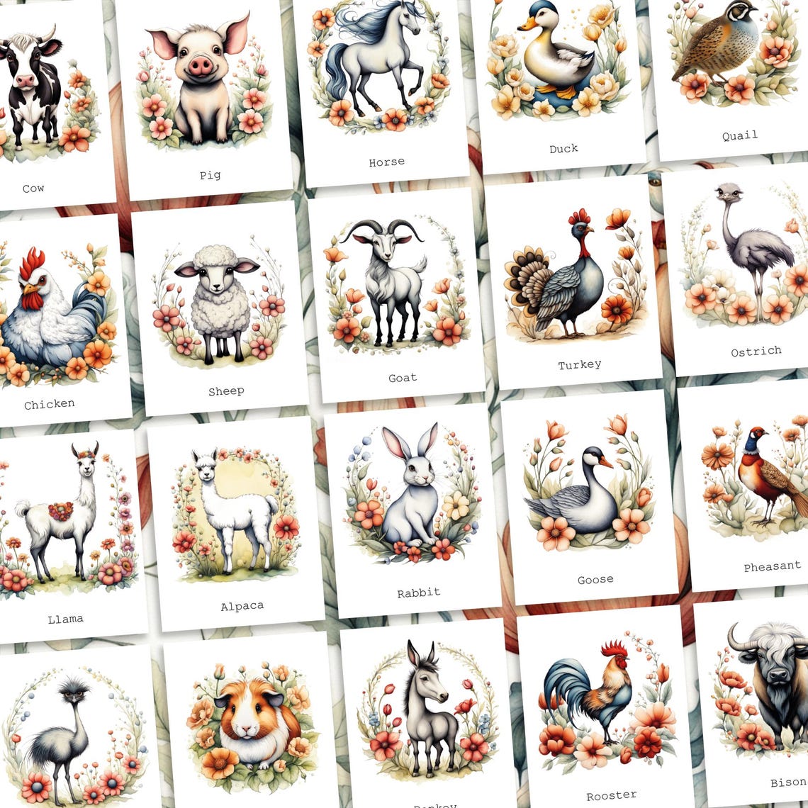 Farm Animal Flashcards: Montessori Homeschool Learning (PDF) - Etsy
