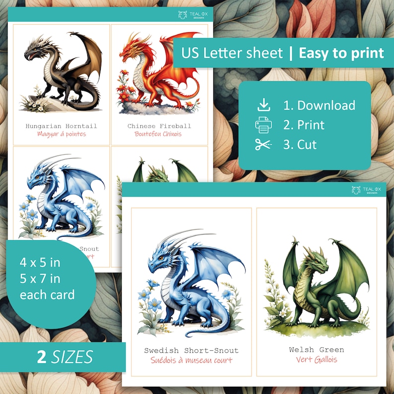 Dragon Flashcards / Aprendizaje De Vocabulario Bilingüe Inglés-francés ...