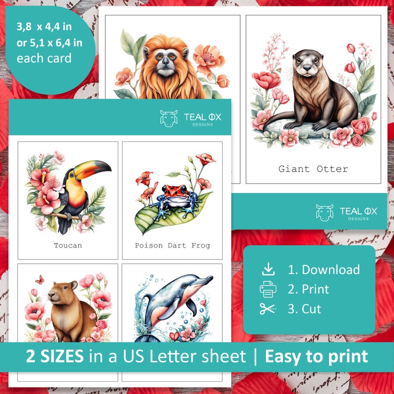 Jungle Animals Flashcards Fun Wildlife Cards for Children Printable ...