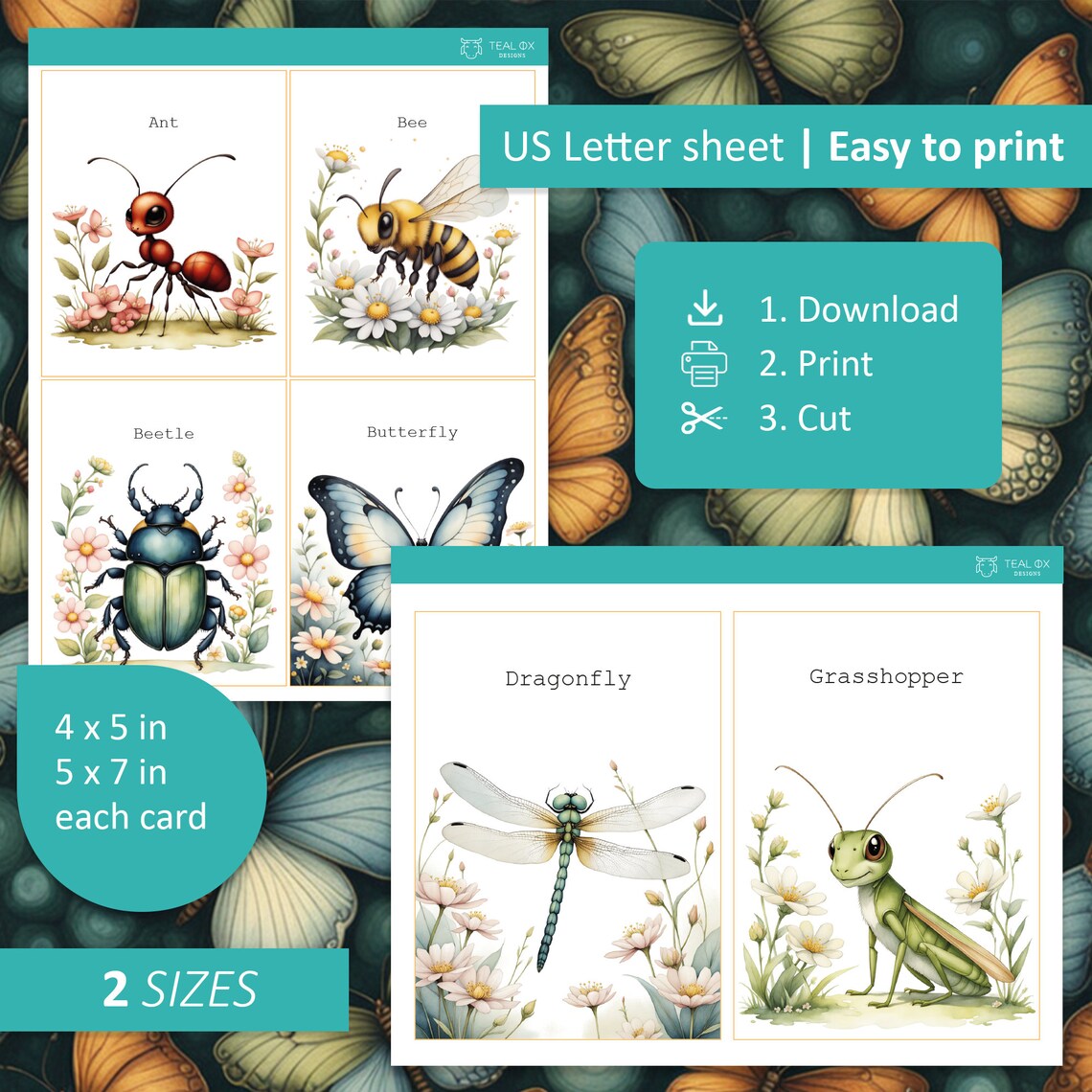 Printable Insect Flashcards for Kids Nature & Science Learning Set of ...