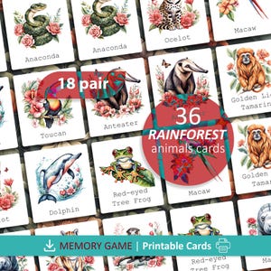Amazon Rainforest Memory Game | Jungle Animal Matching Cards ...