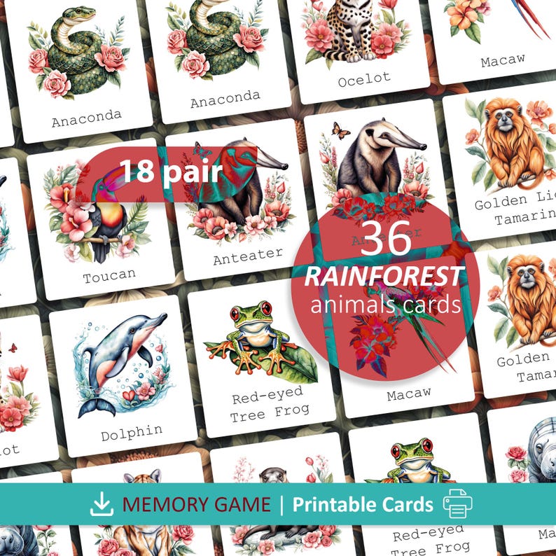 Amazon Rainforest Memory Game | Jungle Animal Matching Cards ...