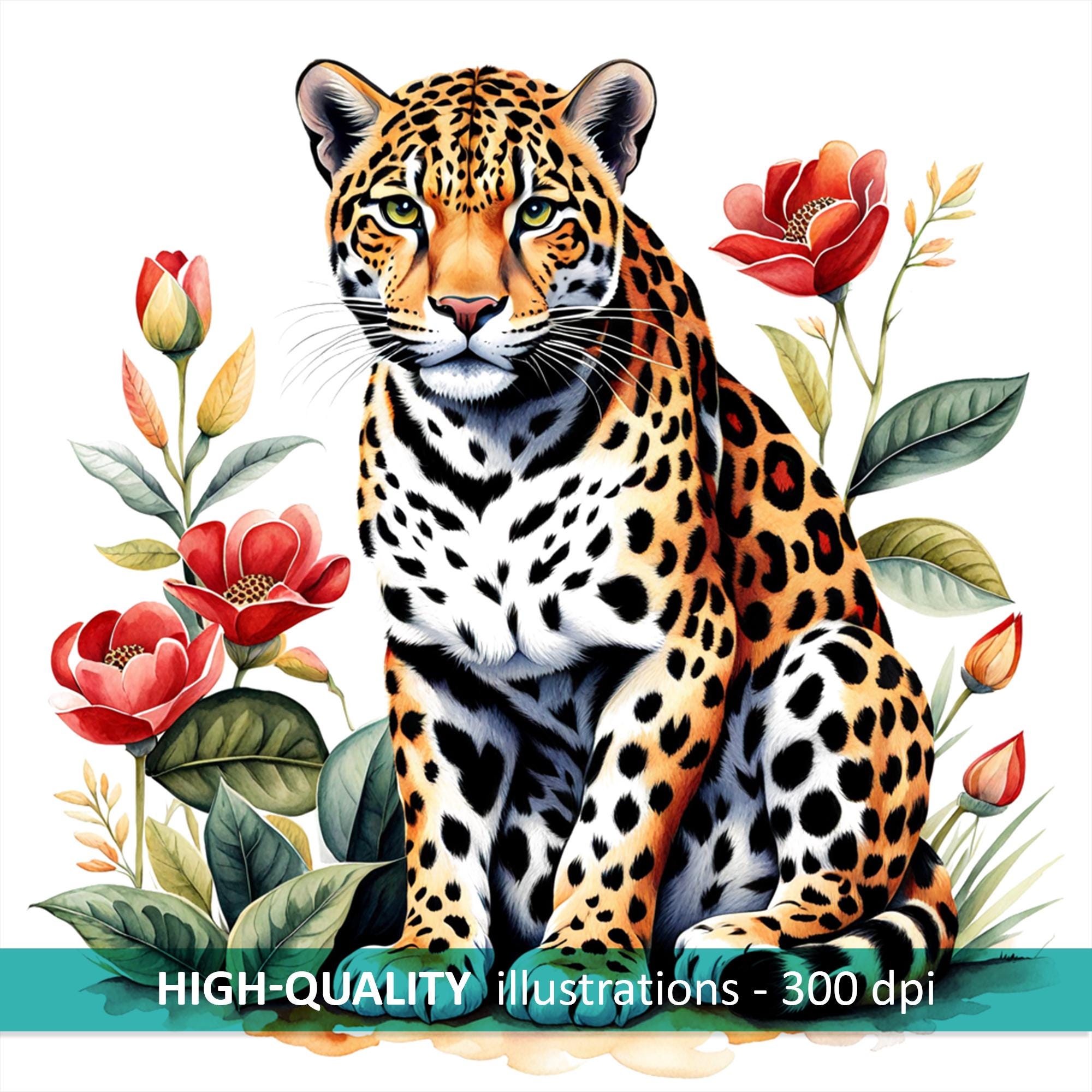 Amazon Rainforest Memory Game | Jungle Animal Matching Cards ...