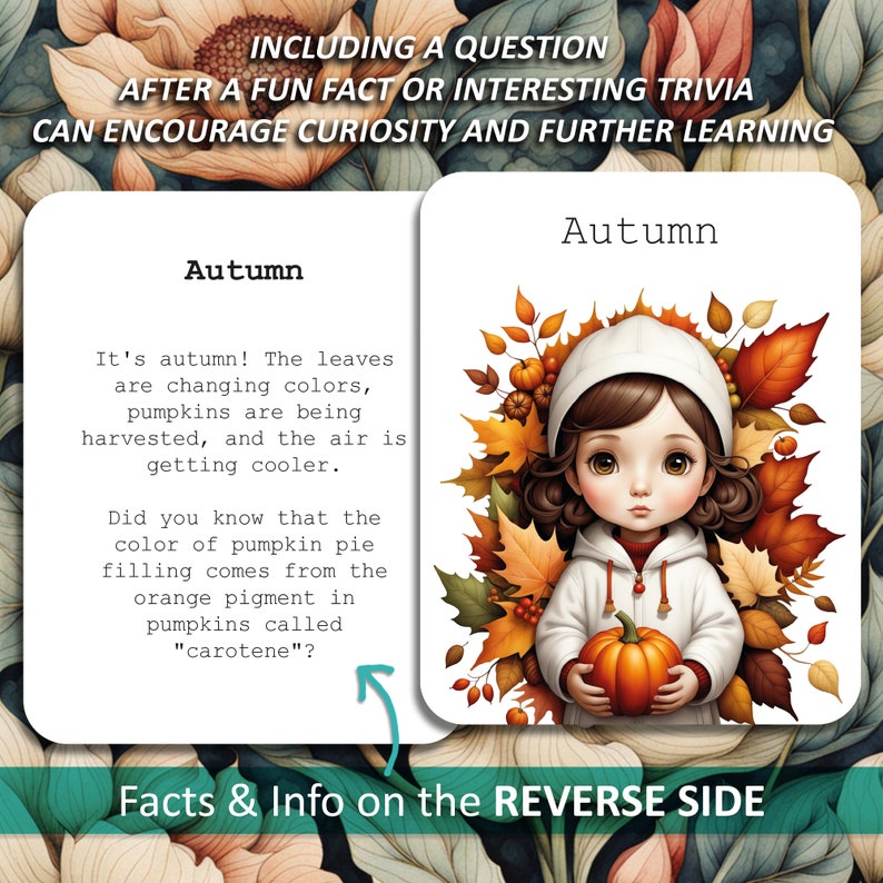 Printable Seasons Flashcards With Fun Facts | Educational Seasonal ...