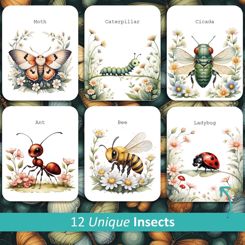 Printable Insect Flashcards for Kids – Nature Science Learning Cards ...