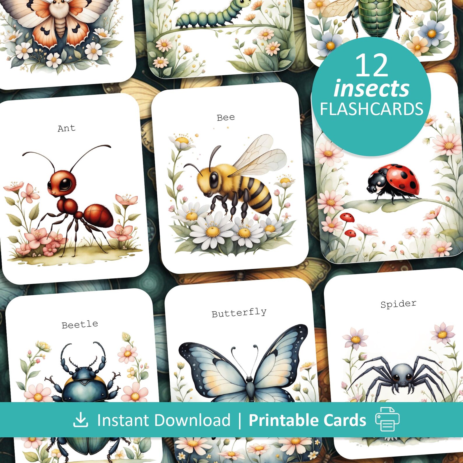 Printable Insect Flashcards for Kids – Nature Science Learning Cards ...