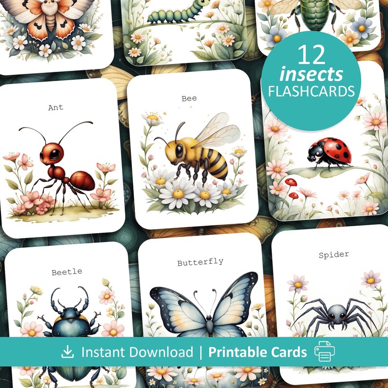 Printable Insect Flashcards for Kids – Nature Science Learning Cards ...