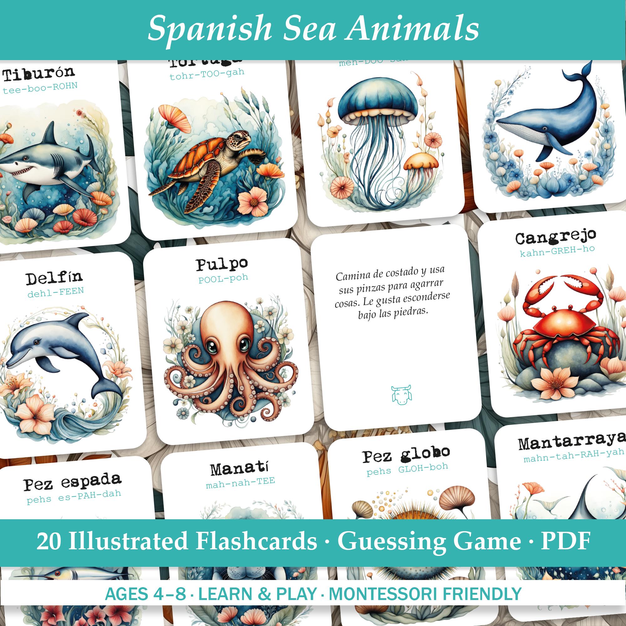 Spanish Sea Animals Flashcards Printable, Ocean Animal Cards in Spanish ...