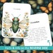 Printable Insect Flashcards for Kids Nature & Science Learning Set of ...