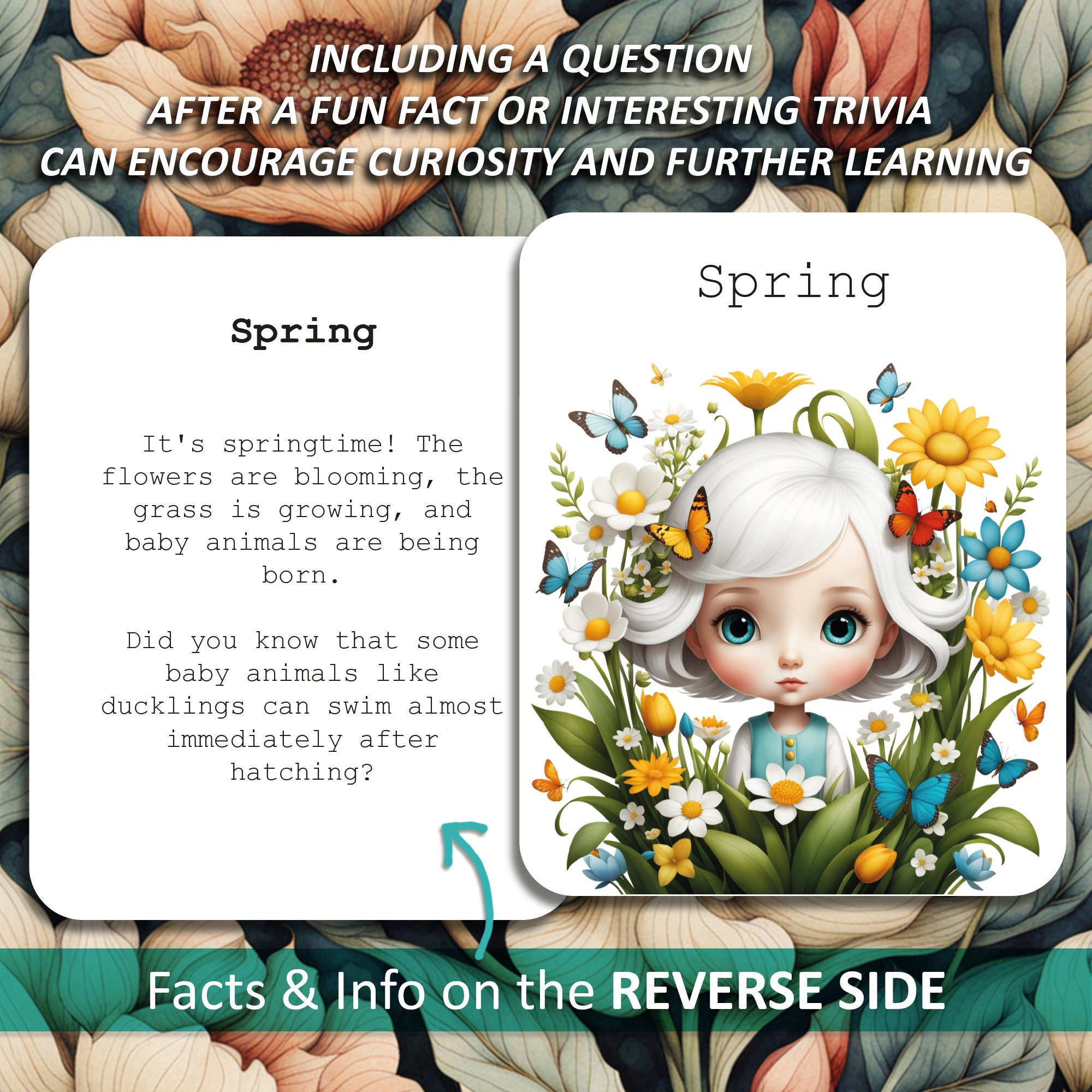 Printable Seasons Flashcards With Fun Facts | Educational Seasonal ...