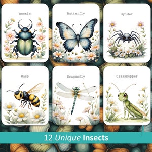 Printable Insect Flashcards for Kids | Nature & Science Learning | Set ...