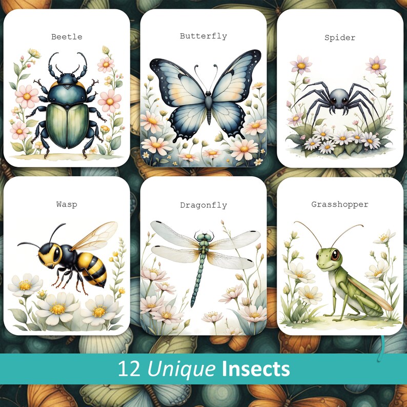 Printable Insect Flashcards for Kids | Nature & Science Learning | Set ...