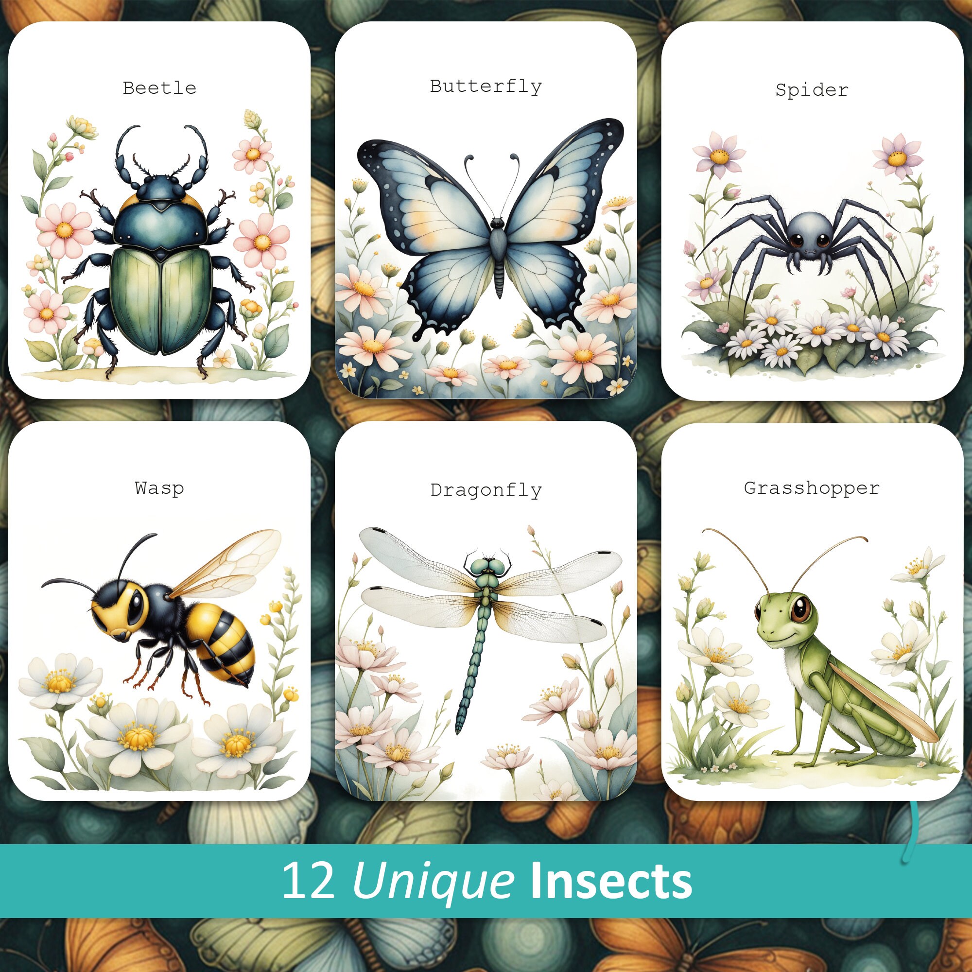 Printable Insect Flashcards for Kids | Nature & Science Learning | Set ...