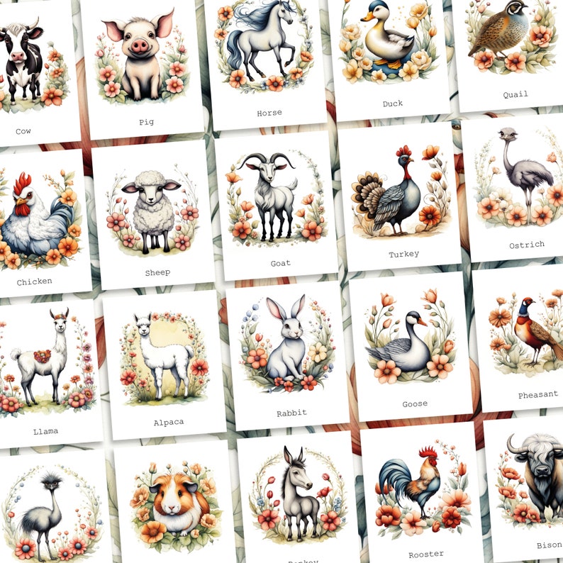 Farm Animal Flashcards Printable Cards for Kids Pre-school Cards ...