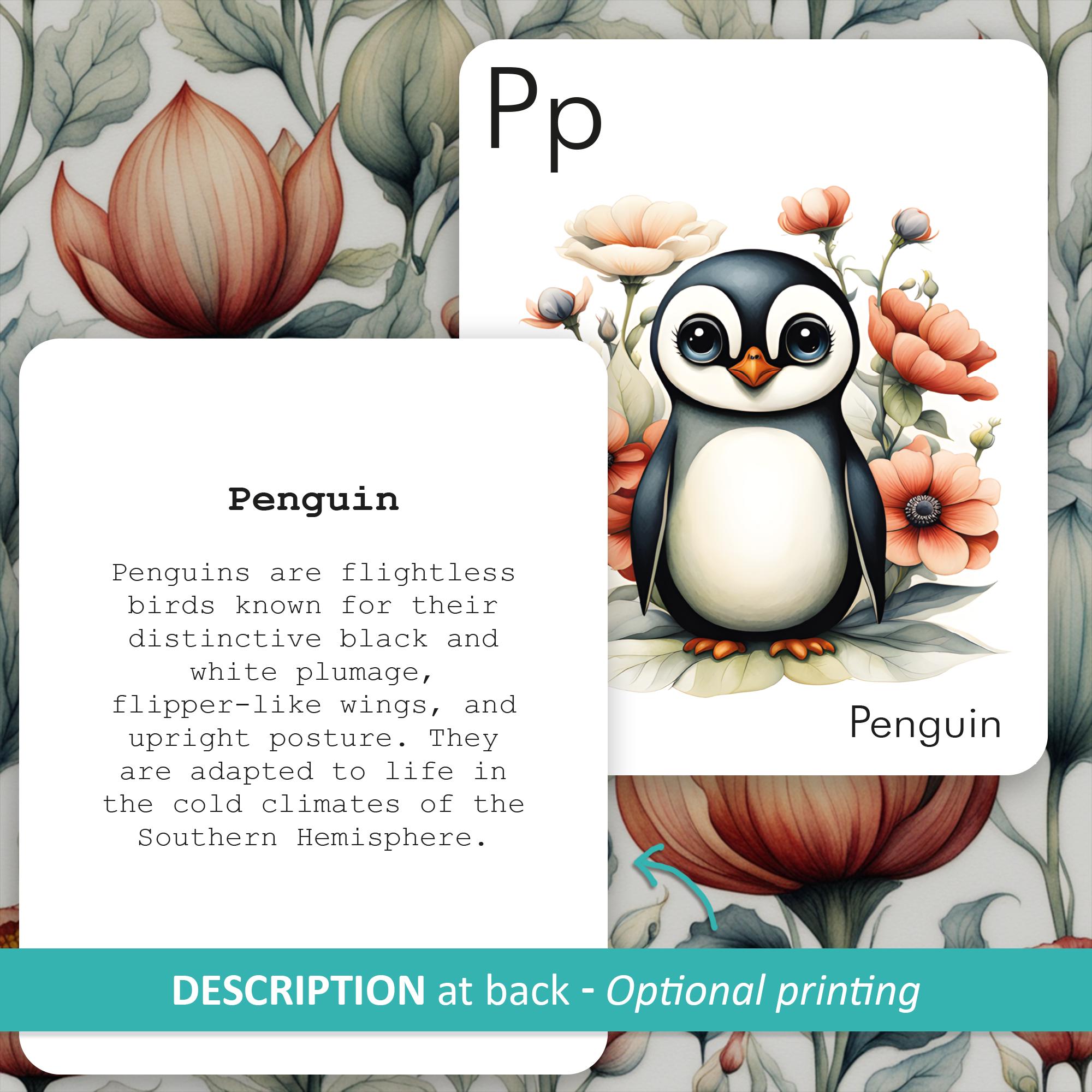 Animal Alphabet Flashcards: Montessori Homeschool Printable (PDF) - Etsy