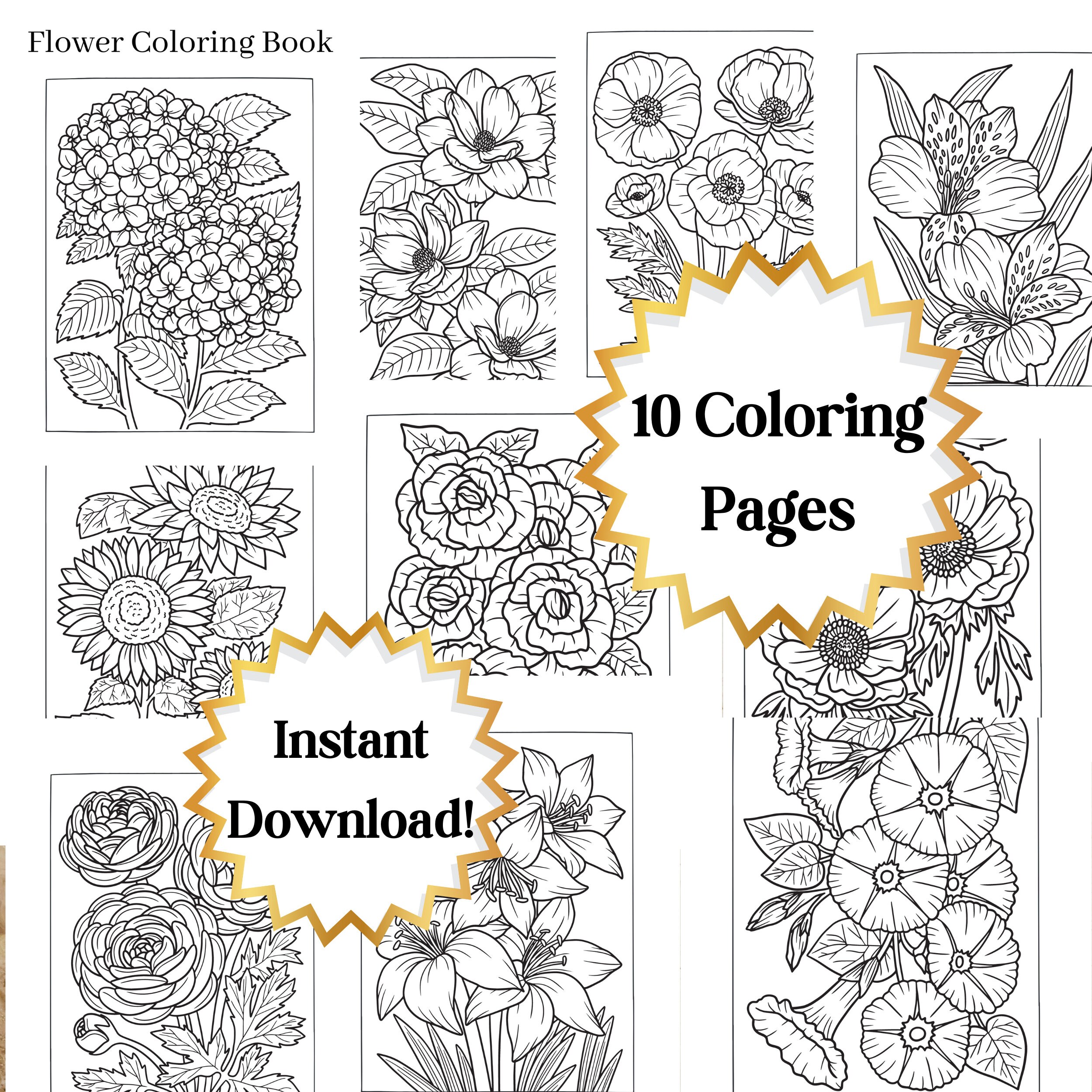 Flower Coloring Book Digital Coloring Pages Printable Coloring Book ...