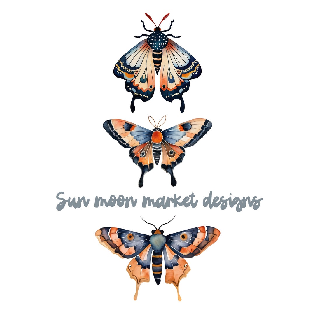 Moths Png Clipart Digital Download - Etsy