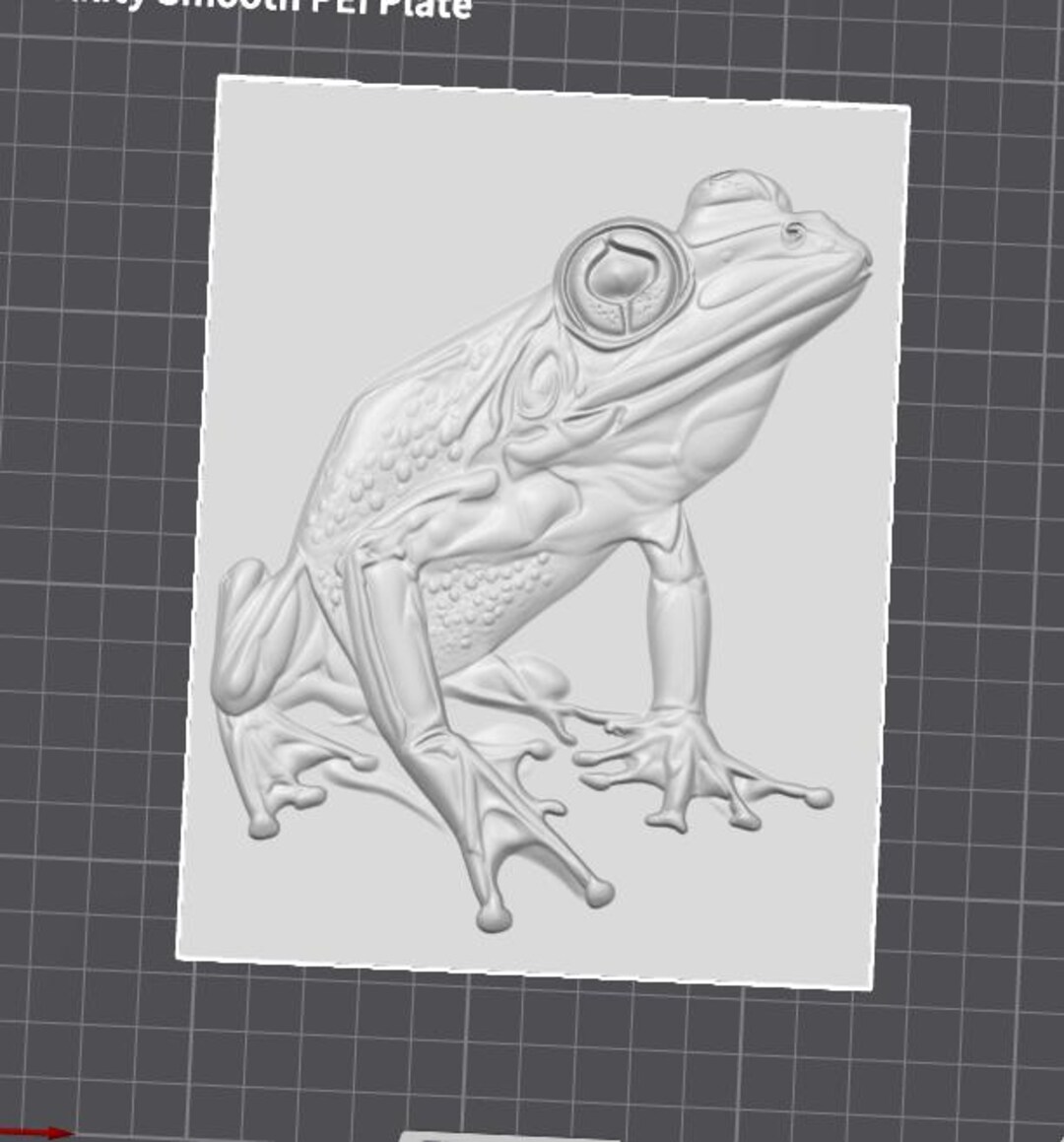 Frog Relief – Amphibian Wall Relief Print File (gcode +3MF) (digital ...